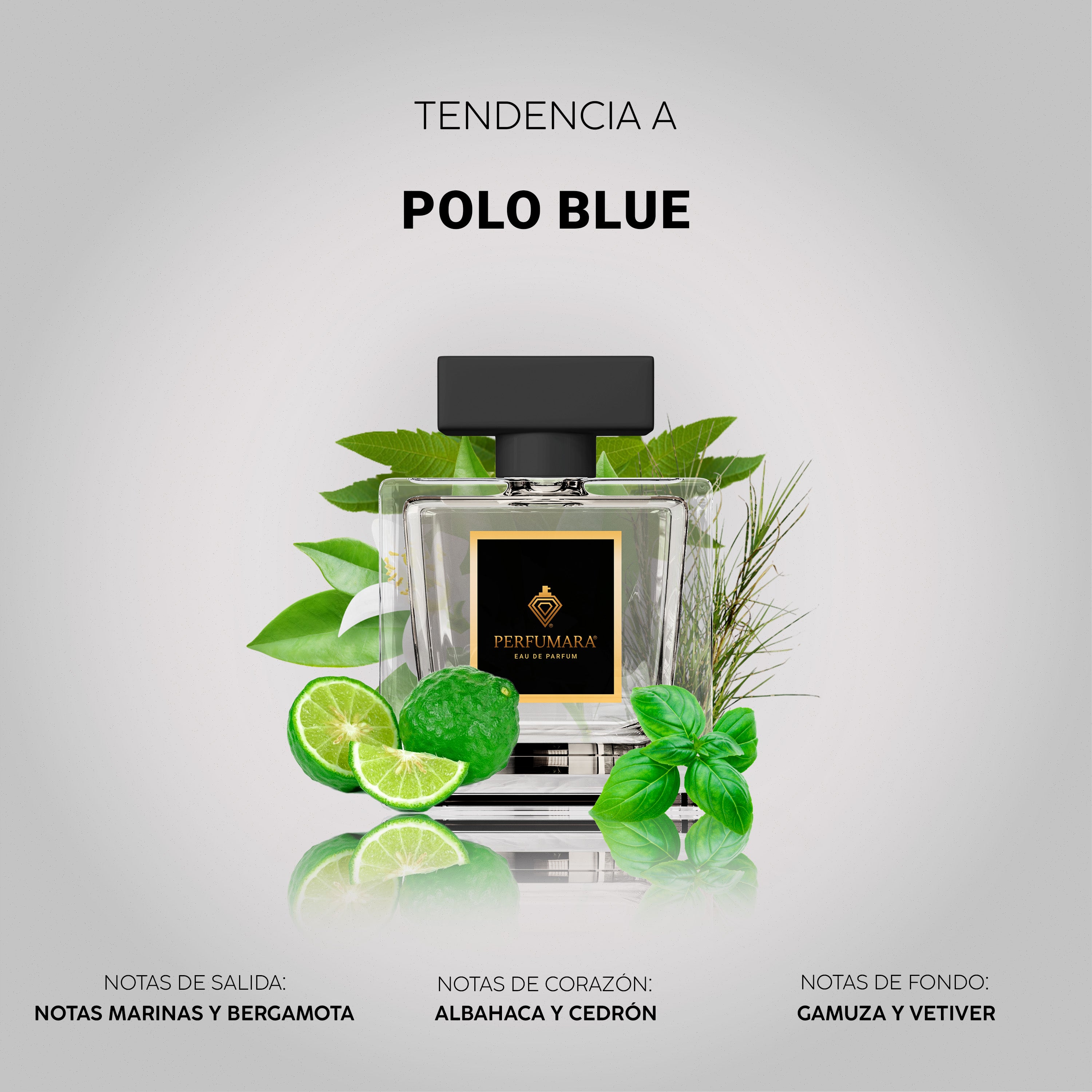 Tendencia a CPolo Blue – PERFUMARA OFICIAL