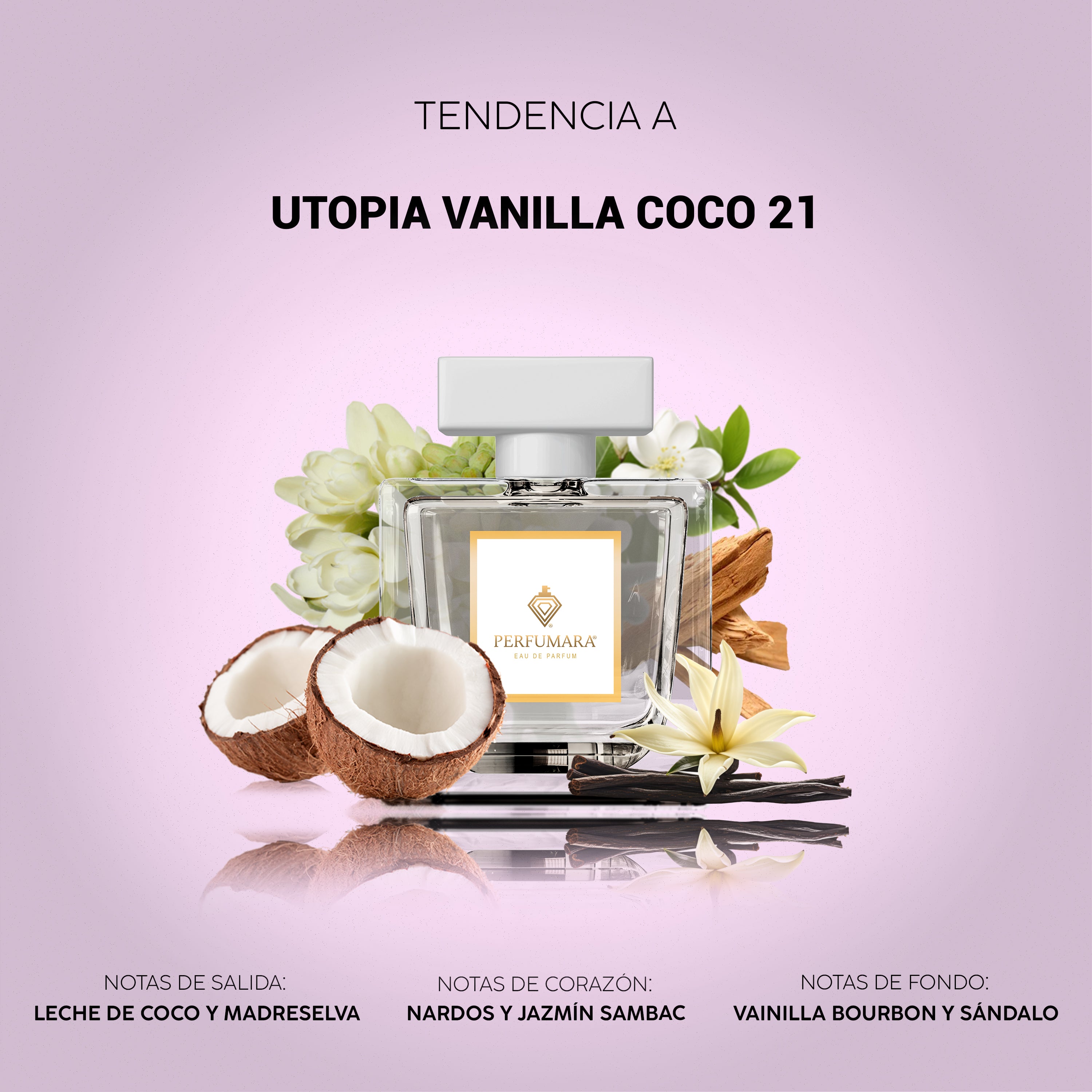 Tendencia a Utopia vainilla coco kayali – PERFUMARA OFICIAL