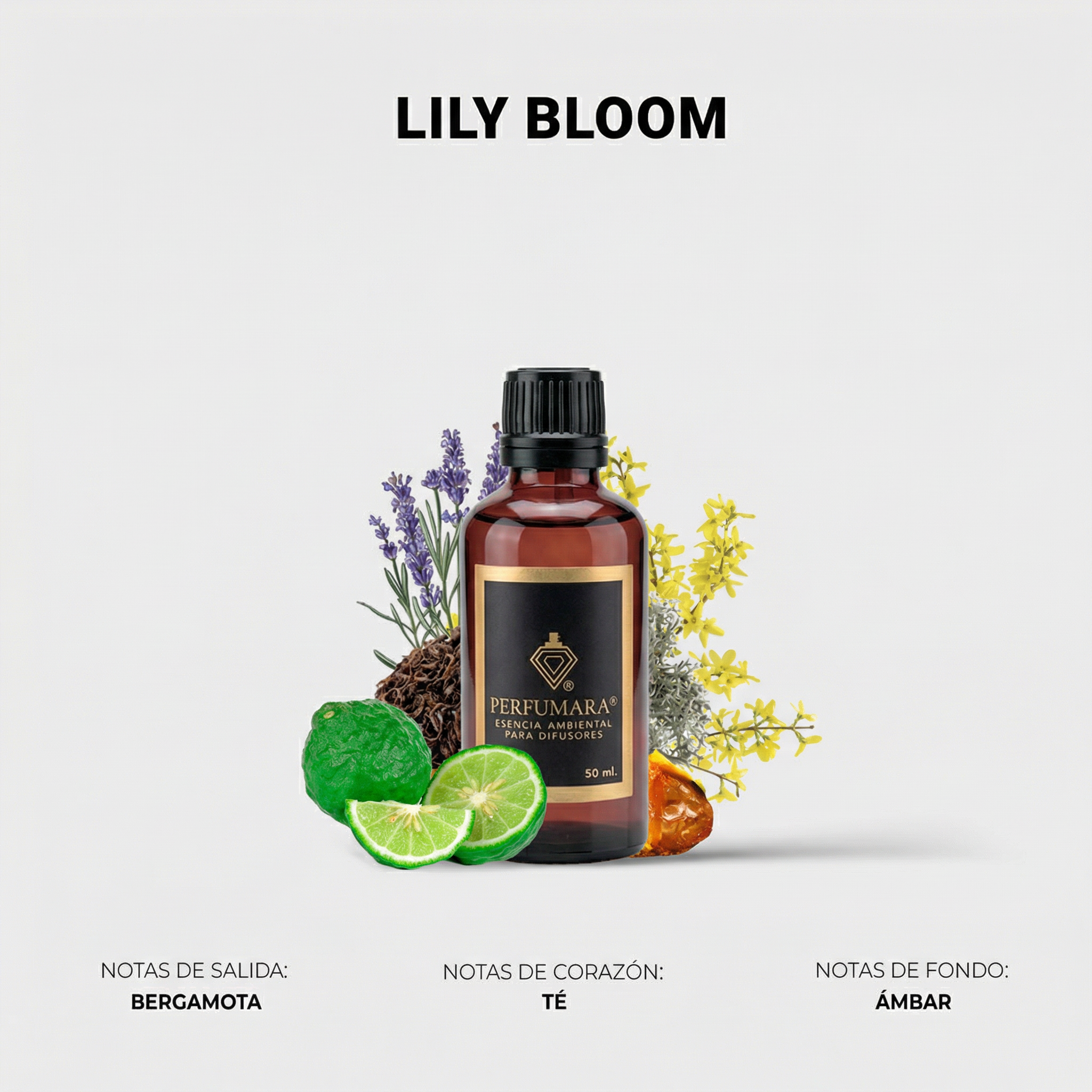 Lily Bloom – PERFUMARA OFICIAL